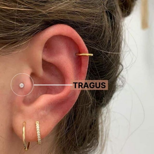 PIERCING CALI - Accesorios de Eva - Piercings recomendados para tí